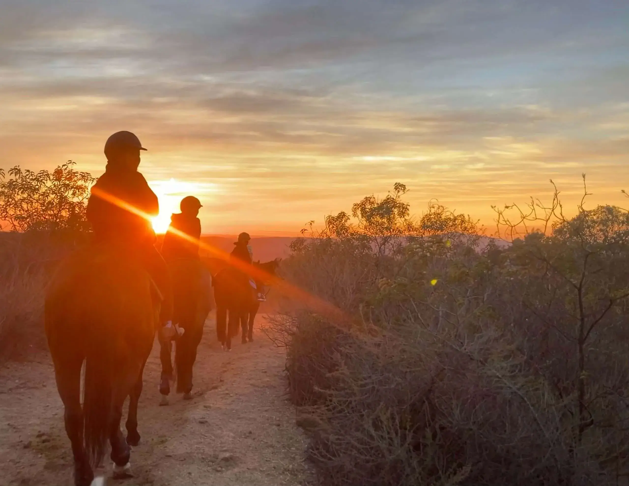 Horseback Riding | Events | Activities | Near Me | SanDiego